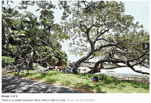 Island Information: flora and fauna, caldera type, similar islands ...