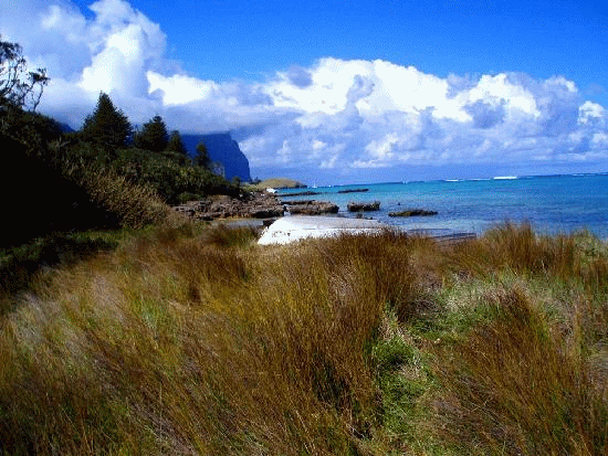 Island Information: flora and fauna, caldera type, similar islands ...